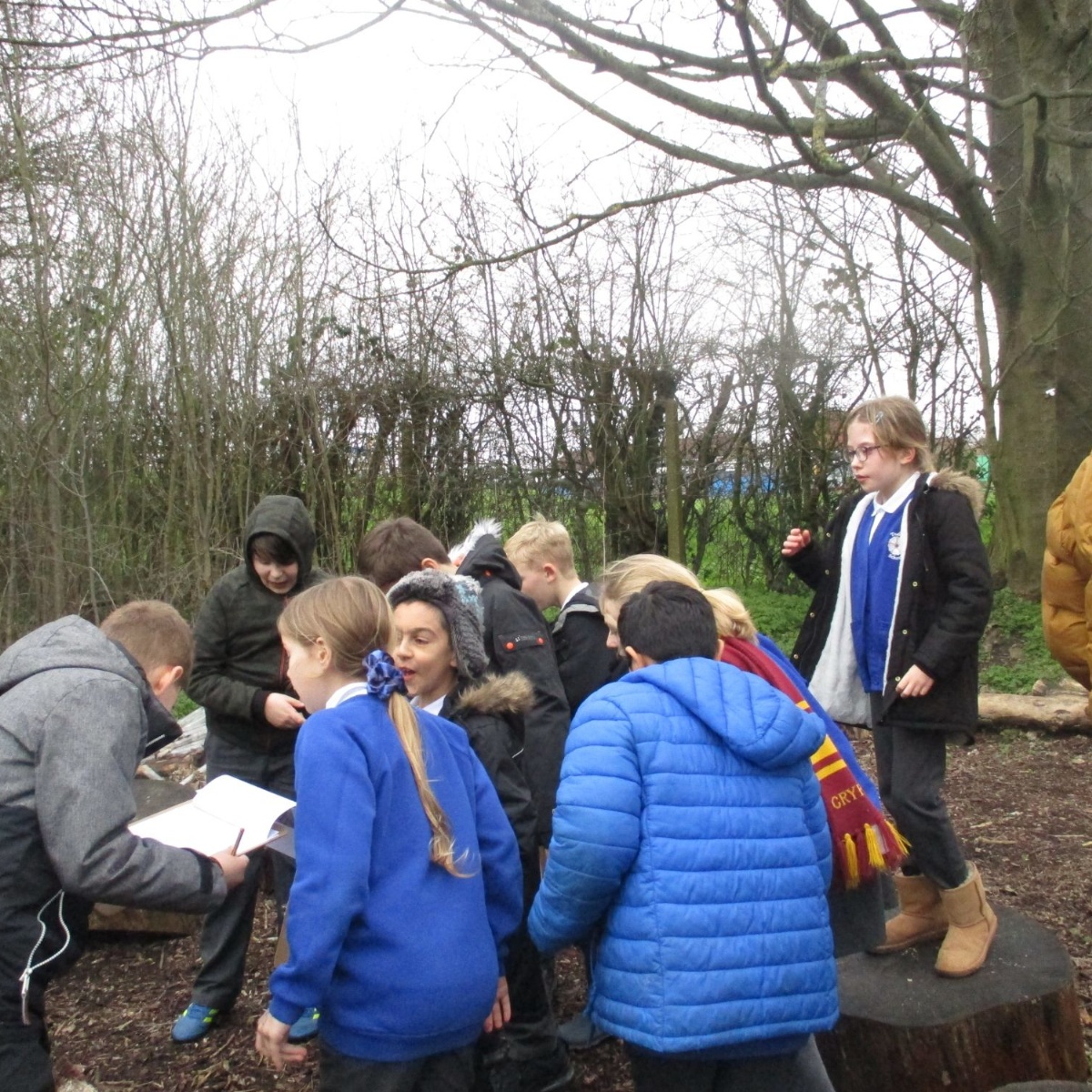 Tudor Primary School - Fieldwork